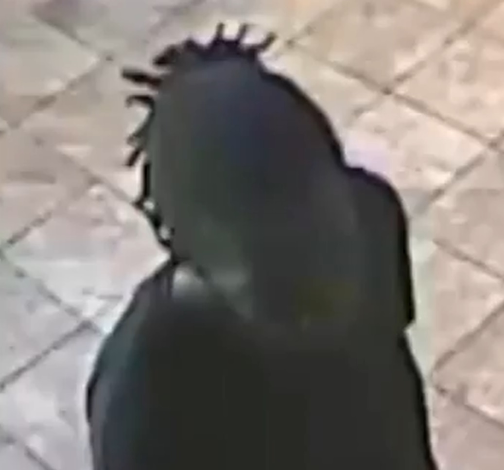 Police seek person of interest in robbery-snatch | wusa9.com