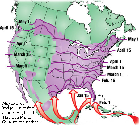 Tenacious Topper's Blog: Purple Martin Time | wusa9.com