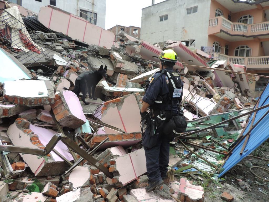 Va. rescue group: Nepal devastation heartbreaking | wusa9.com