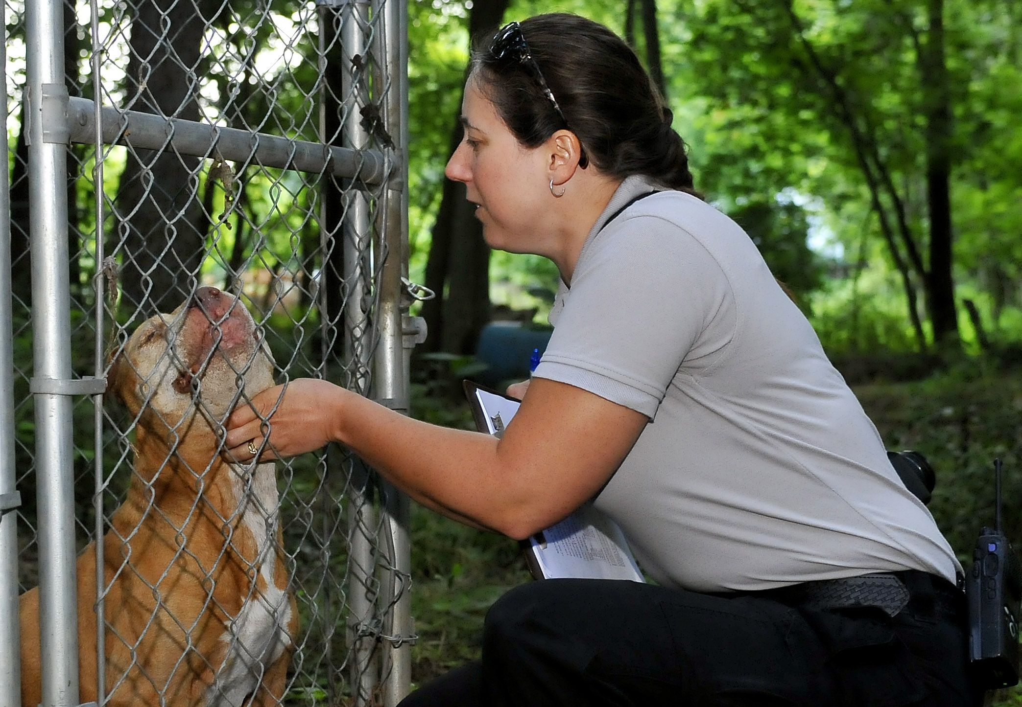 21 dogs rescued after West Virginia dog fighting sting | wusa9.com