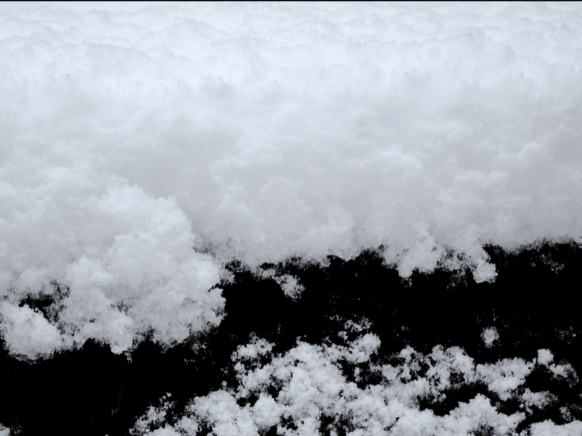 Tenacious Topper's Blog: First snow 1979 | wusa9.com
