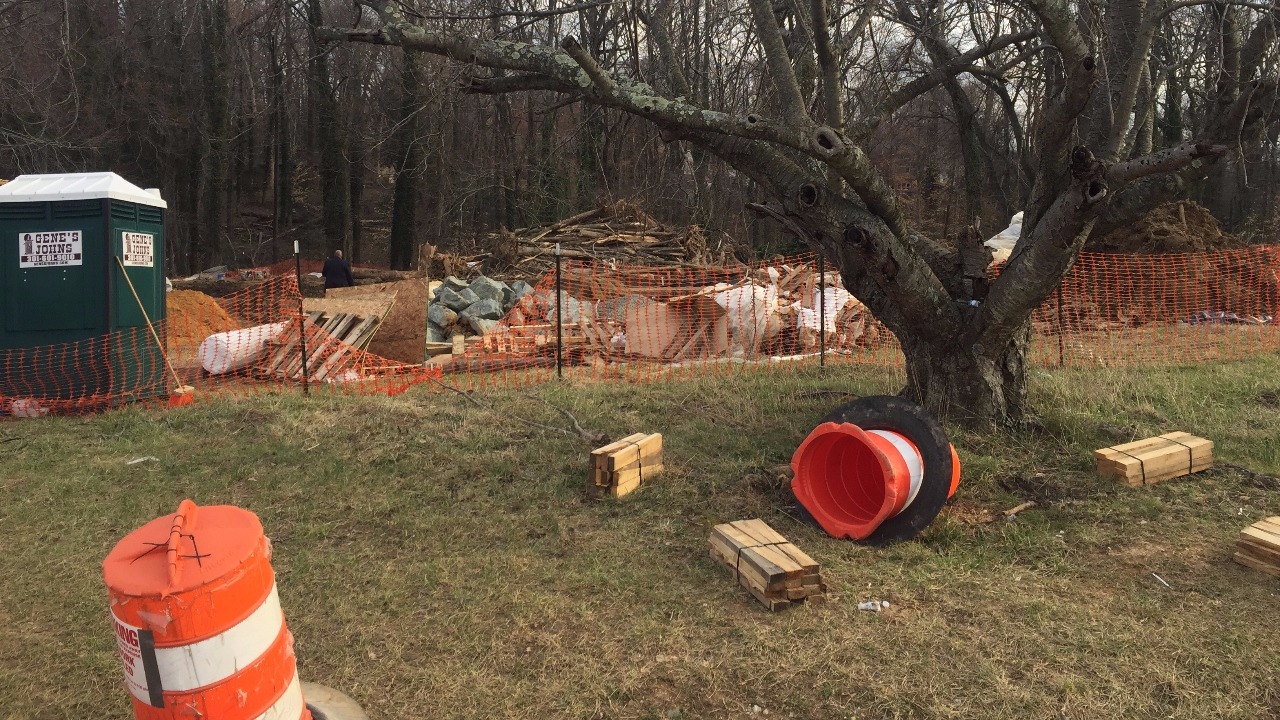 Tree falls on man, killing him | wusa9.com