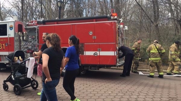 No injuries after 'incident related to chlorine' at the National Zoo ...