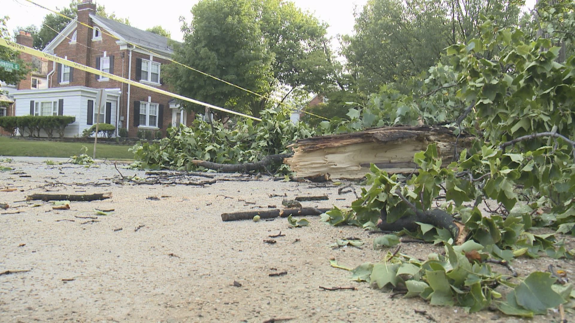 Wind causes partial building collapse in NW DC | wusa9.com