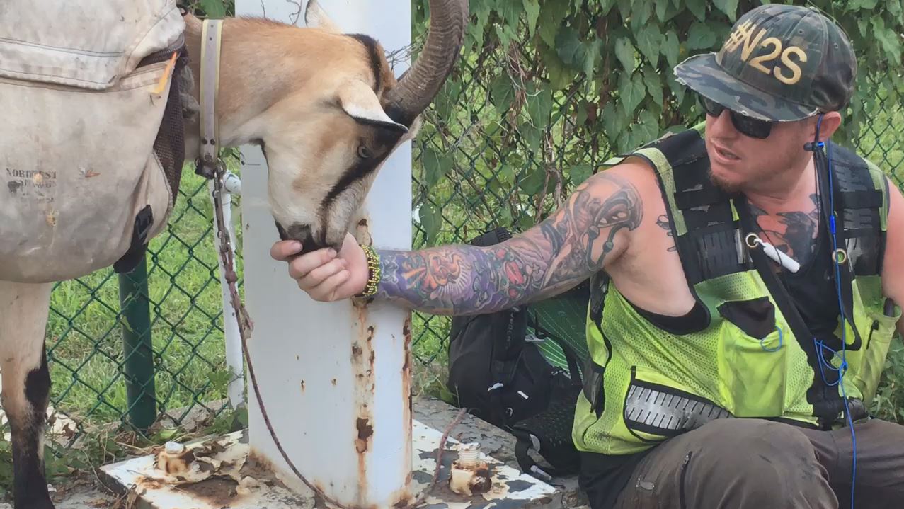 Man, goat walk from Space Needle to Times Square | wusa9.com