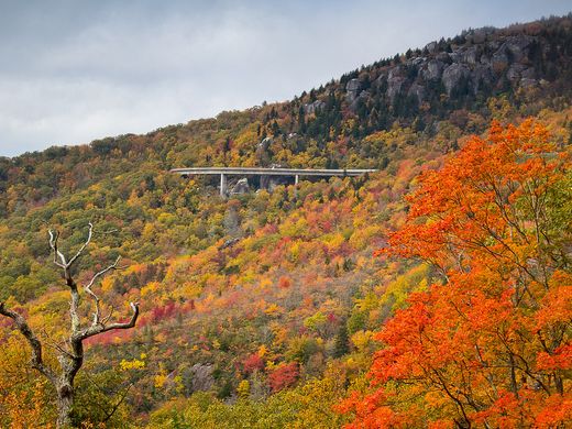 Fall Foliage Viewing: Where Is The Best Color This Weekend? | wusa9.com