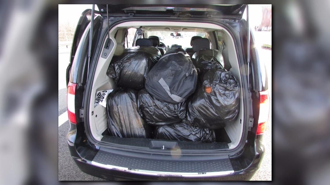 $1M pot bust could be largest ever in Montgomery Co. | wusa9.com