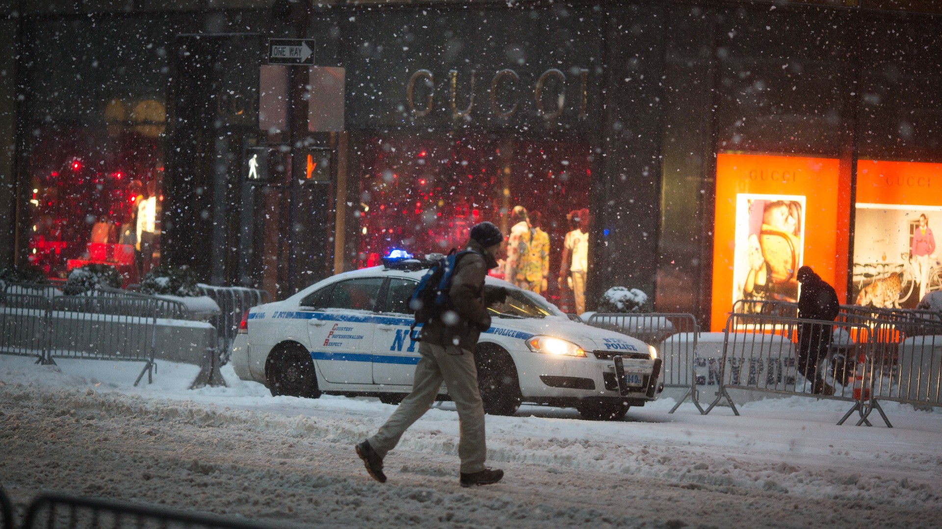 NY Little Pony: City police wrangle tiny horses in the snow | wbir.com