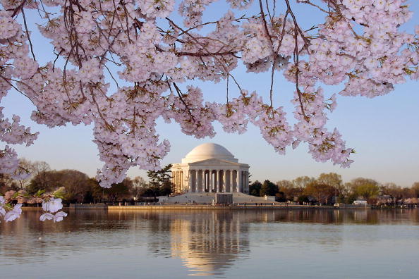 Things to do in DC this weekend | wusa9.com