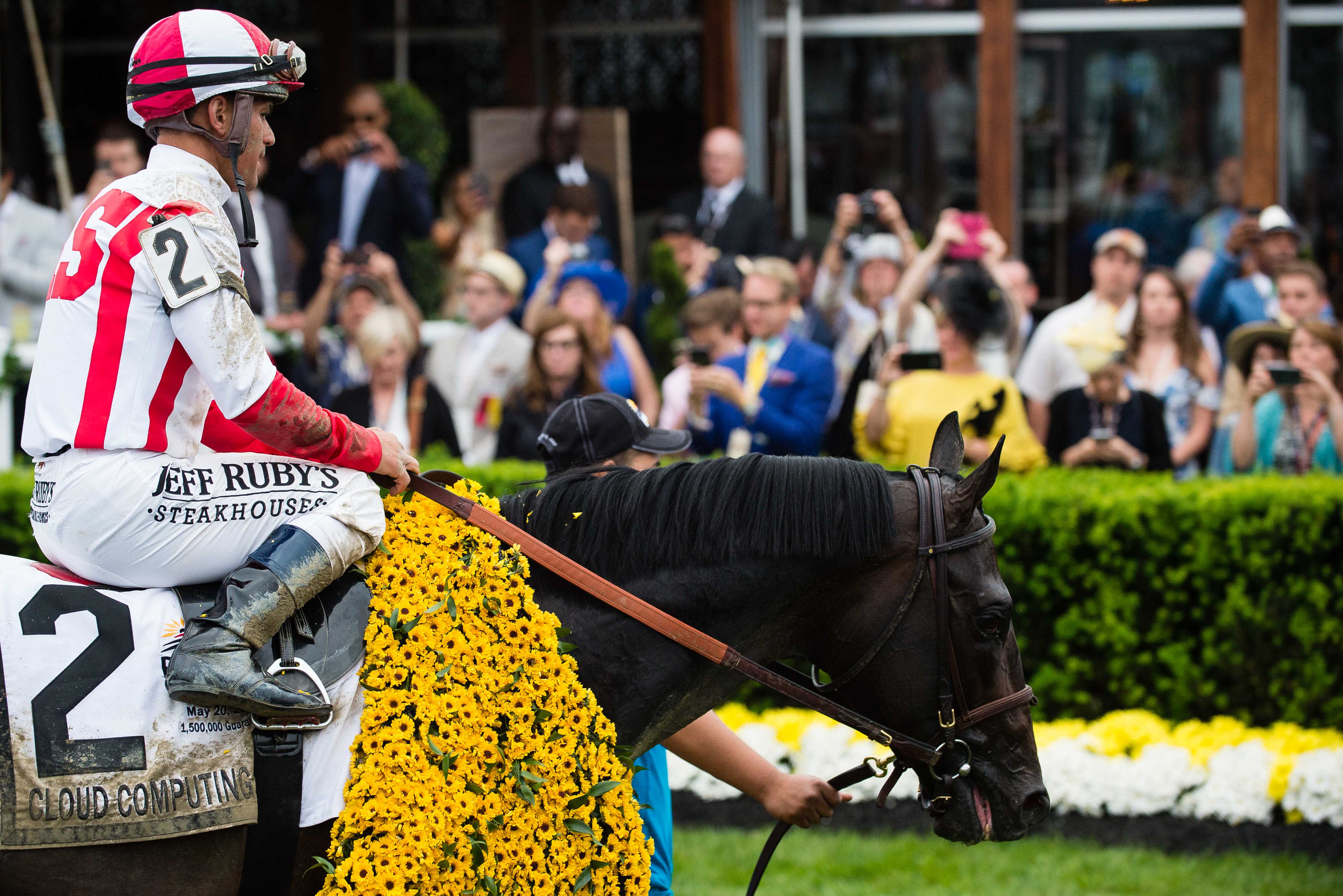 Preakness winner Cloud Computing to skip Belmont Stakes | wusa9.com