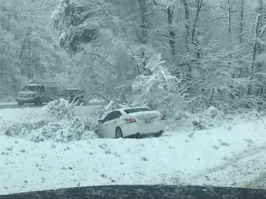 Spring snowstorm packed a punch in Prince George's County | wusa9.com